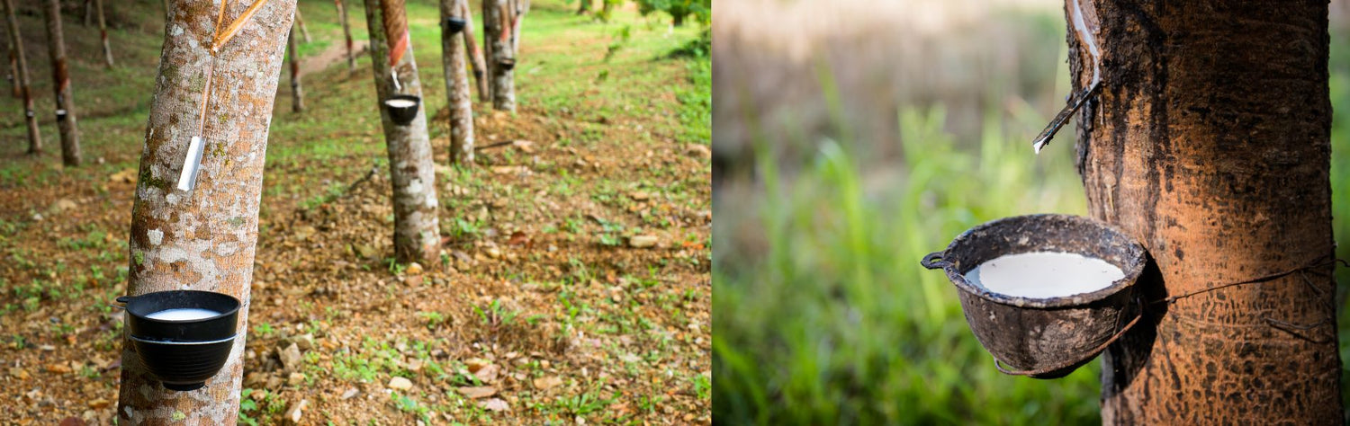 Top 7 Benefits of Using Natural Rubber in Footwear – Frankton's