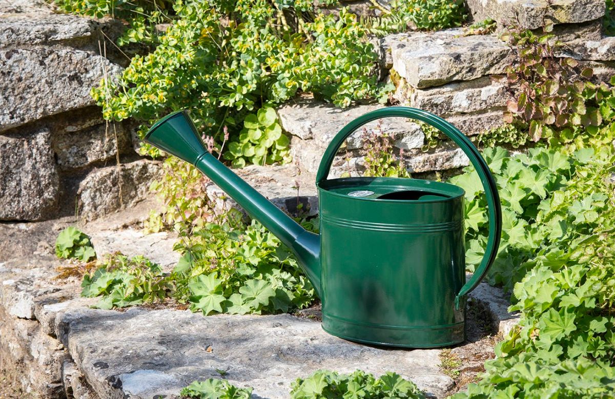 Watering Cans – Frankton's