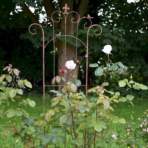 Ascalon - Scroll Trellis Pack of Two 1.5m Dark Rust - Frankton's