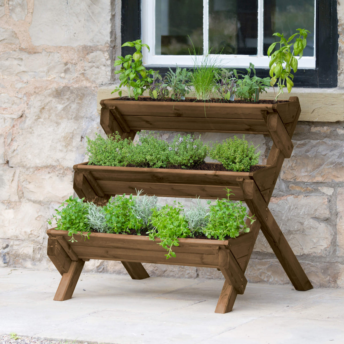 Zest Stepped Herb Planter - Frankton's