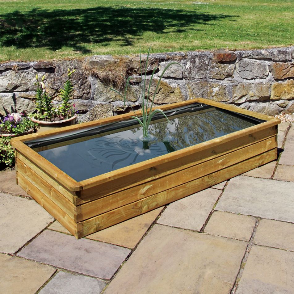 Zest Aquatic Pond Planter - Medium - Frankton's