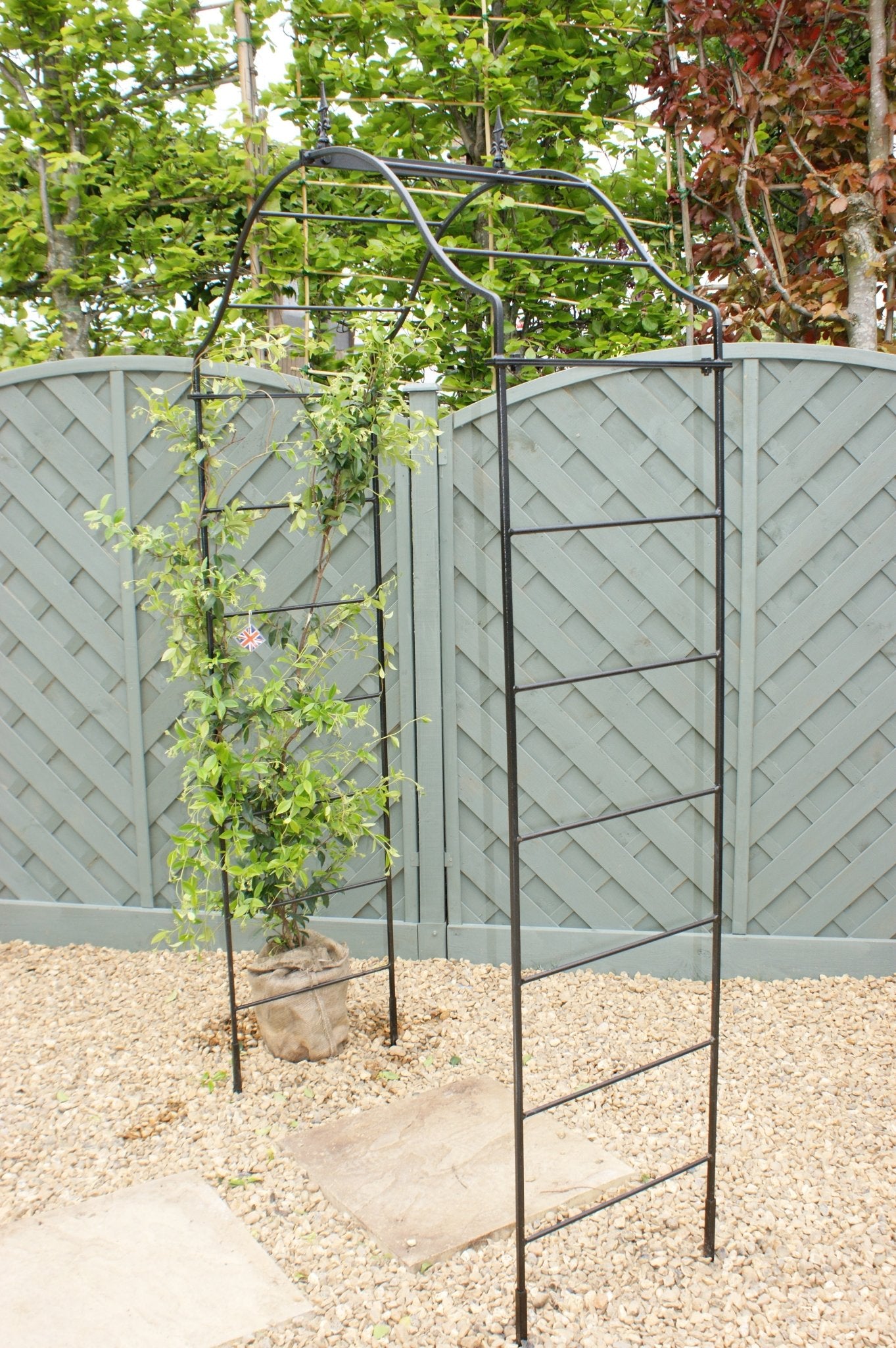 Poppy Forge Arcadia Solid Steel Arch Archway - Frankton's