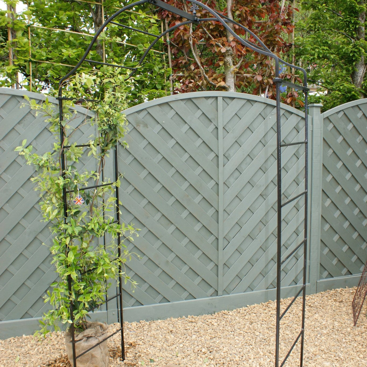 Poppy Forge Arcadia Solid Steel Arch Archway - Frankton's