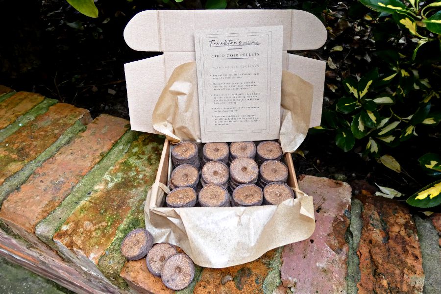 Coir Pellets 35mm Box of 60 for Seedlings and Cuttings – Frankton's