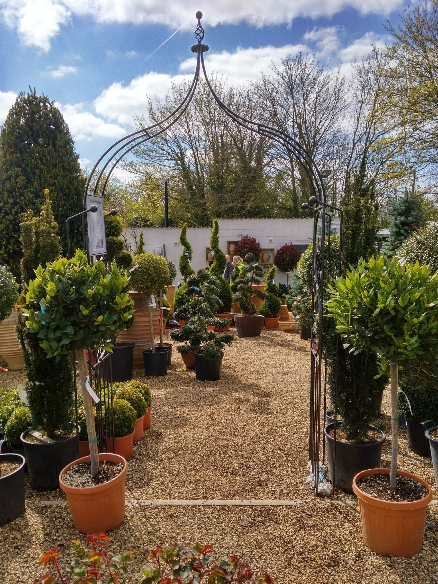 Poppy Forge - Flower Ogee Arch - Frankton's