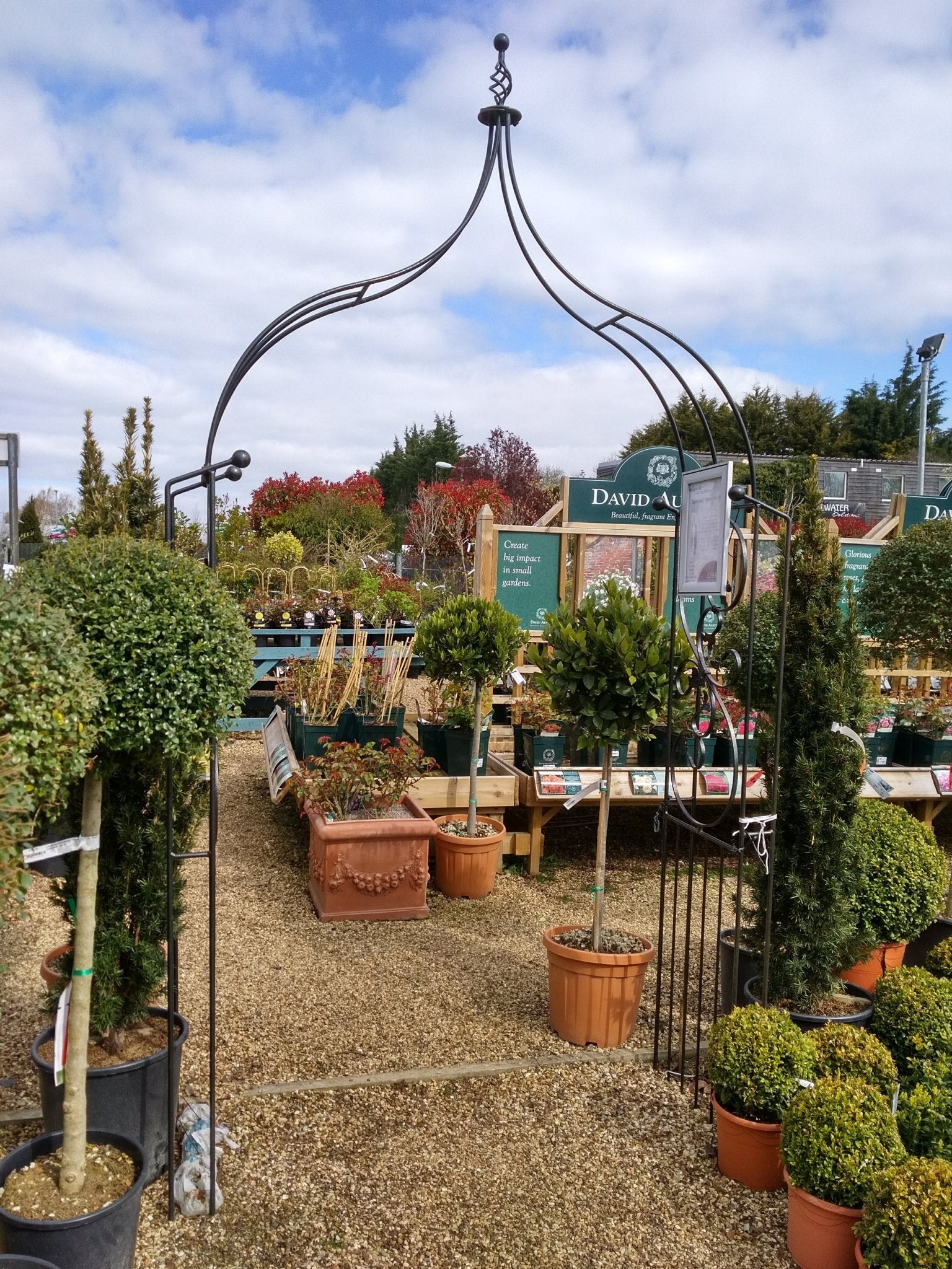 Poppy Forge - Flower Ogee Arch - Frankton's