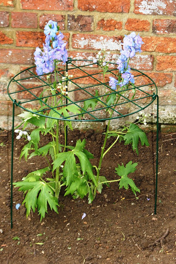 Poppy Forge Grow Through Rings Set of 4 with legs Frankton's