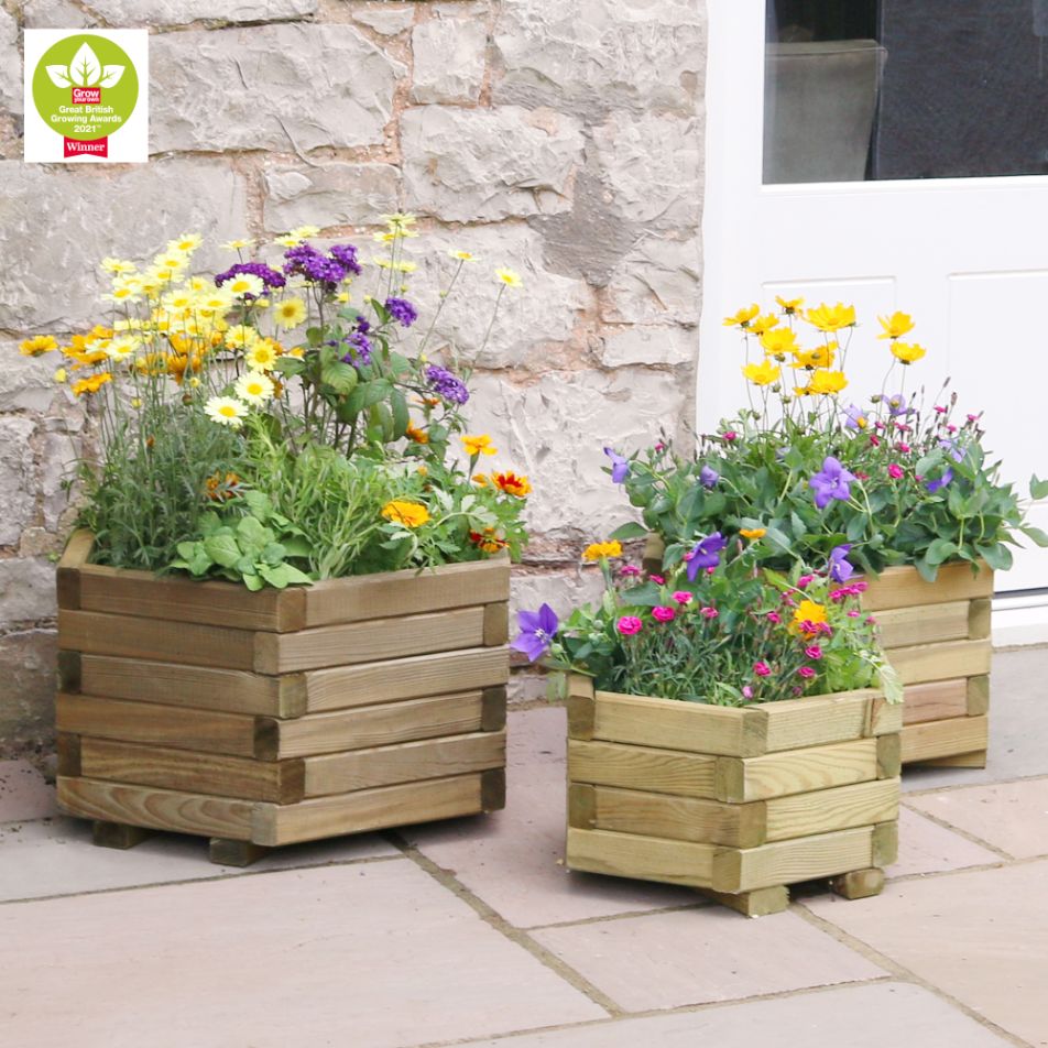 Zest Marford Hexagonal Planter Set - Frankton's