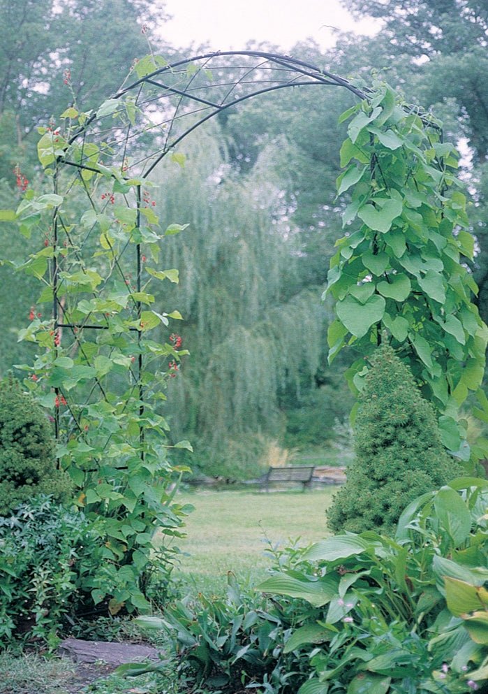Poppy Forge - Monet Arch - Frankton's